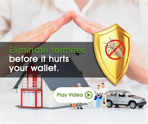 About Xterm® Sumitomo Chemical Environmental Health Division