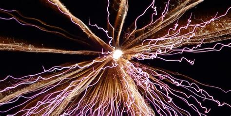 Premium Photo Vivid Colors And Intricate Abstract Patterns Ignite