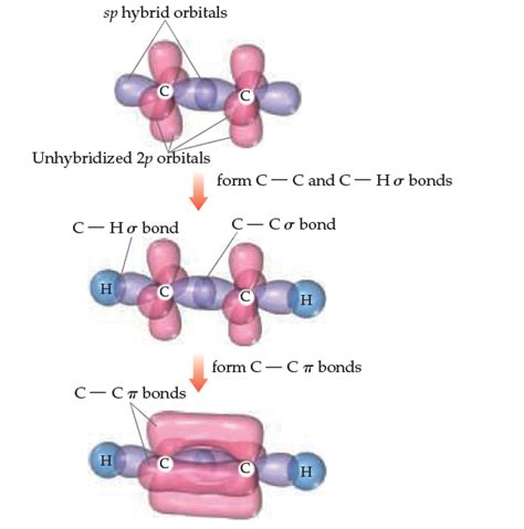 Answered sp hybrid orbitals Unhybridized p orbitals form C C and C Ho bonds C Ho bond C Cơ