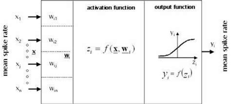 2 basic elements of a formal static neuron [40] download scientific