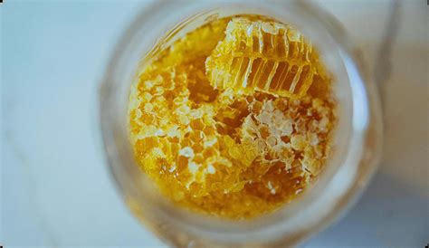 Beekeeping With Computer Vision Smarter Hive Monitoring