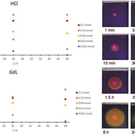 Top Graph Showing The Distance Diffused Through The Gel By Hcl As Download Scientific