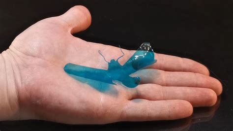 A Team Of Scientists Led By Professor Xi Chen Cuny Asrc Nanoscience Advanced Science