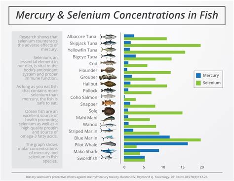how selenium helps to detoxify mercury