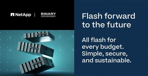 binary global on linkedin netapp and binary global limited are redefining your storage