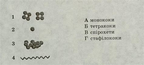 Допоможіть прошу Школьные Знания Com