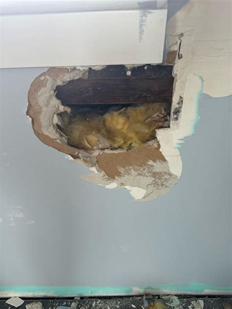 Is This Window Correctly Installed Rhomemaintenance