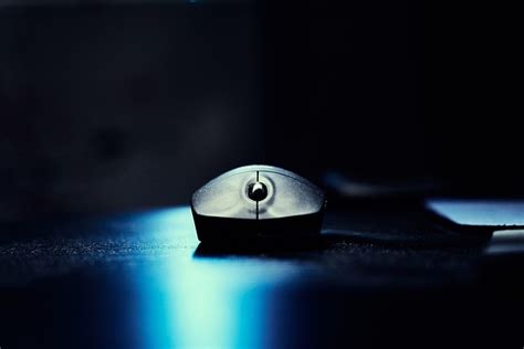 Generating Sample Reports Without Actual Data Articles Ibi Community