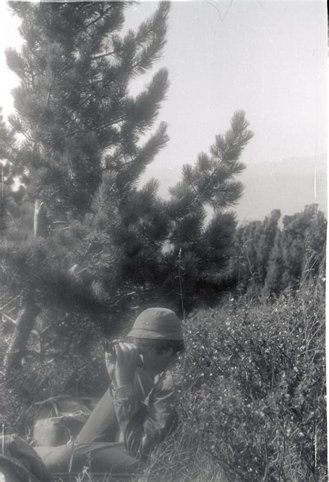 222яя 7 Vera Troitsyna Flickr