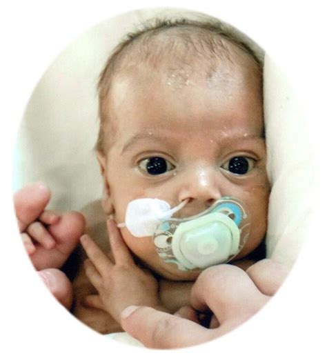 Samuel Herrera Grupo Empresario Bonacorsi