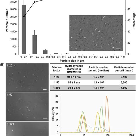 Determination Of Particle Size And Number A Depiction Of The Number Download Scientific