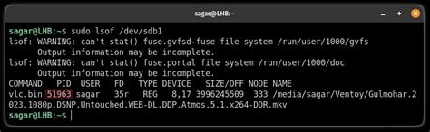 Fixing Umount Target Is Busy Error In Linux
