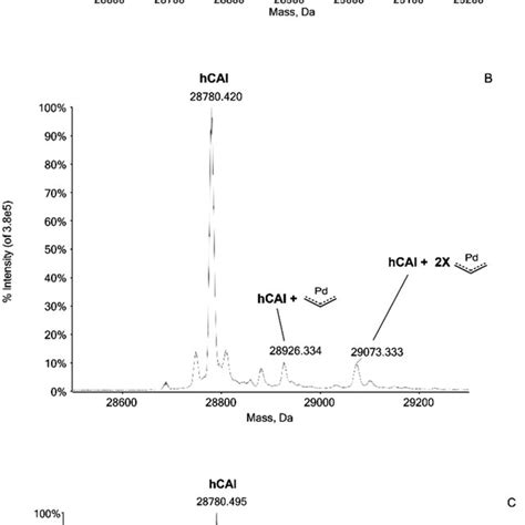 A Deconvoluted Mass Spectra Of Hcai 7 × 10⁻⁷ M In Ammonium Acetate Download Scientific