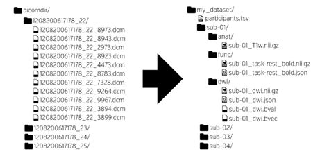 Bids Is A Protocol For Standardizing And Describing Outputs Of