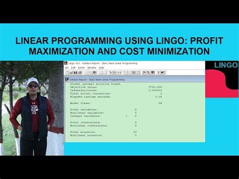 Linear Programming Using LINGO: Profit Maximization & Cost Minimization - YouTube