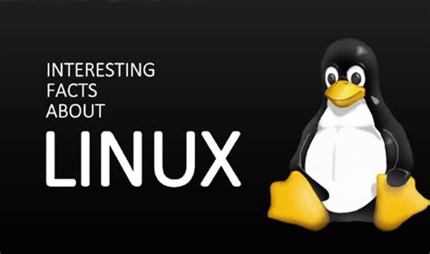 WHY SHOULD LEARN LINUX ThingsGeek