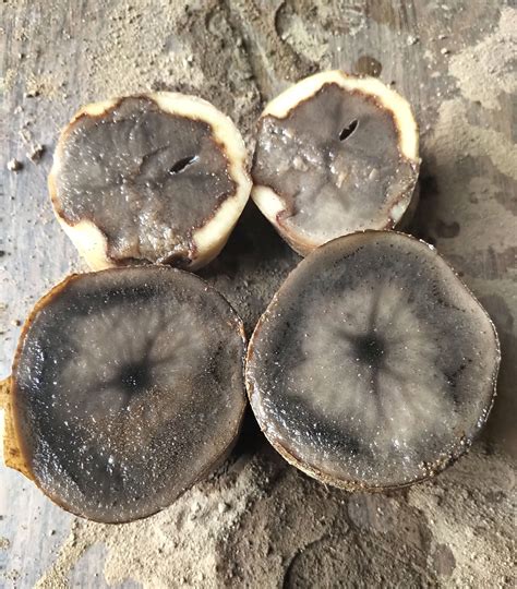 Guidelines To Manage Problem Potatoes In Storage