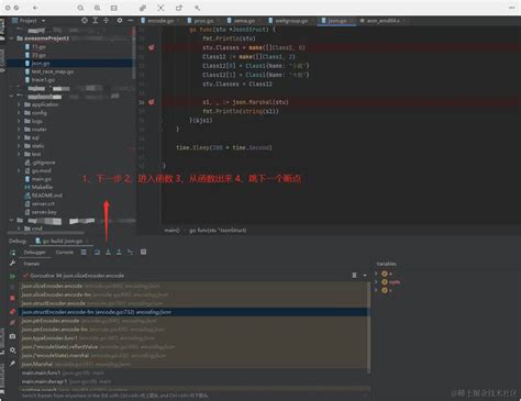 Golang 开发调试工具 Delve在go语言的学习过程中，我们常用调试php的方法对某个变量进行print或者log 掘金