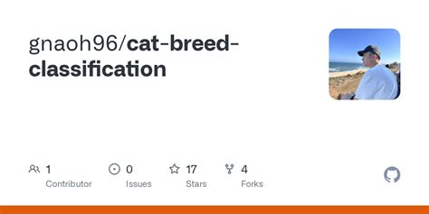 Github Gnaoh96cat Breed Classification