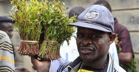 Kenya Reopens Border With Somalia To Facilitate Khat Trade Shabelle