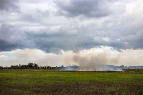 Views Of Dense Smoke Drifting From The Burning Of Rice Stubble In Rice