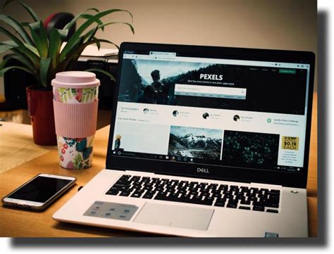 Web Design For Dummies Complete Guide In 2022