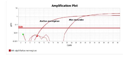 Amplification Curve Using Sybr Green Download Scientific Diagram