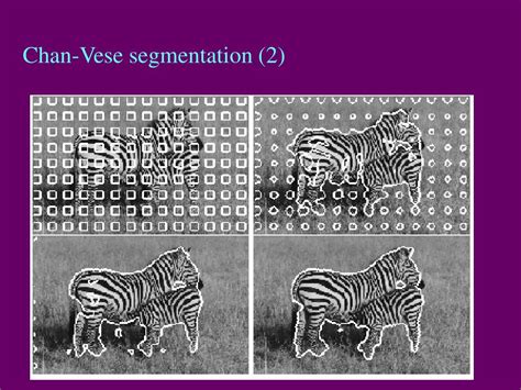 Ppt Integrated Active Contours For Texture Segmentation Powerpoint