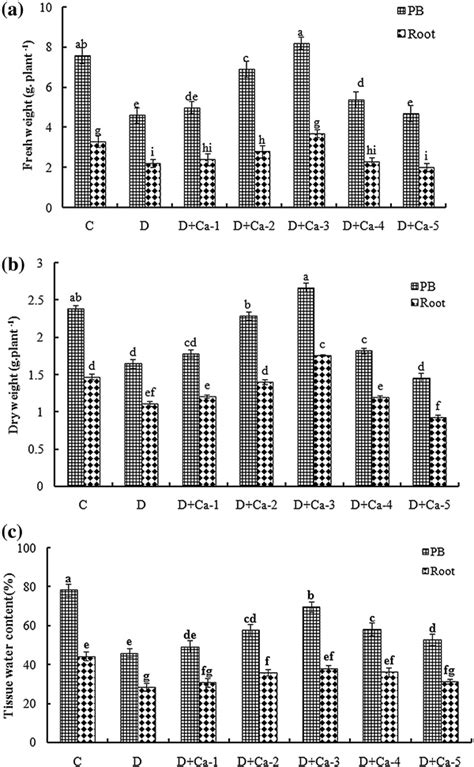 Fresh Weight Fw A Dry Weight Dw B And Tissue Water Content Download Scientific Diagram
