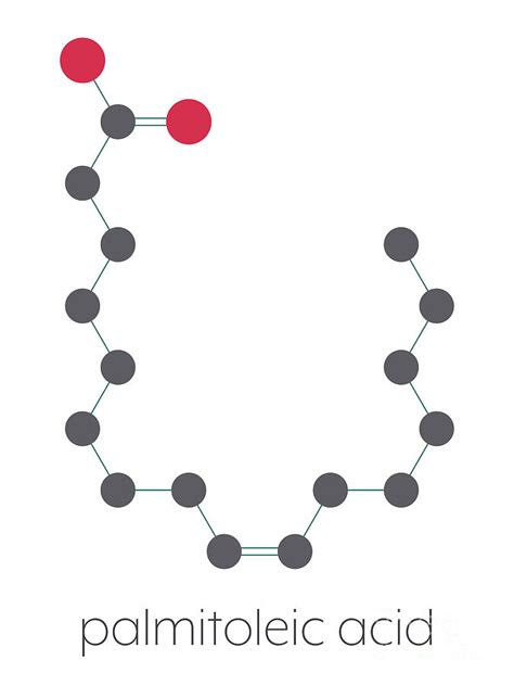 Palmitoleic Acid Omega 7 Fatty Acid Molecule Photograph By Molekuul