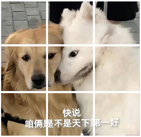 使用python制作九宫格切图器把图片切分成9块 Csdn博客