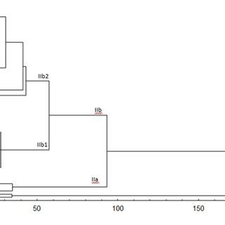 Dendrogram Generated Using Upgma Cluster Analysis And Euclidean Download Scientific Diagram