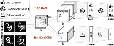 capsnet and standard cnn models the upper and lower diagrams show a