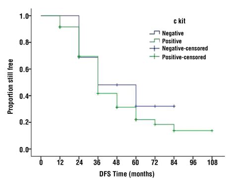 C Kit Negative Gastrointestinal Stromal Tumors Challenges Of Management And Prognosis