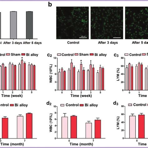 In Vitro And In Vivo Toxicity And Biocompatibility Assessment Of