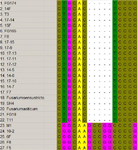 deletion insertion and substitutions on multiple alignment profile
