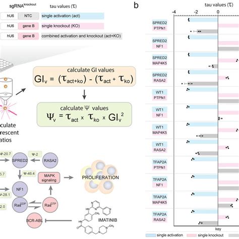 The Orthogonal Crispr System A Schematic Of The Orthogonal System On Download Scientific