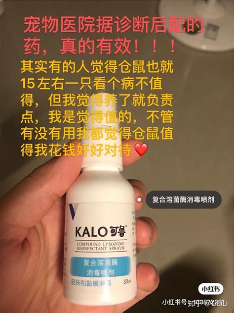 🐹仓鼠皮肤病治疗 知乎