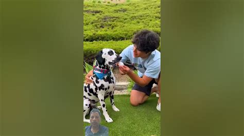 Challenge Mythbusting Funny Mythbusters Ad Mythbusted Youtube