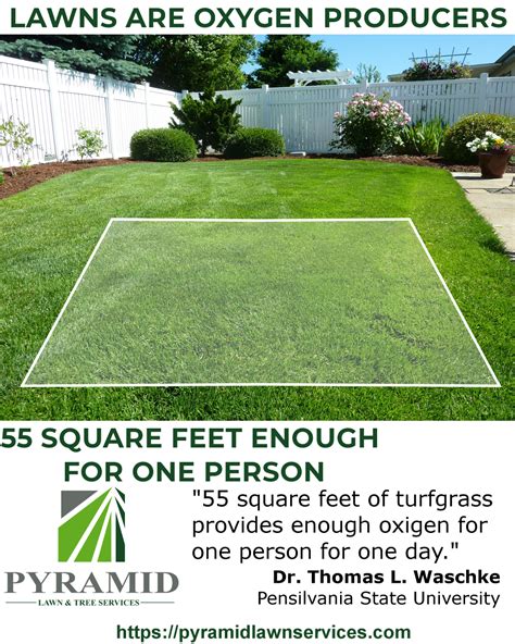 How Many Square Ft In A Yard Charleigh Reports