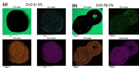 Sem Micrographs At Different Magnifications Of Some Sensitive Layers