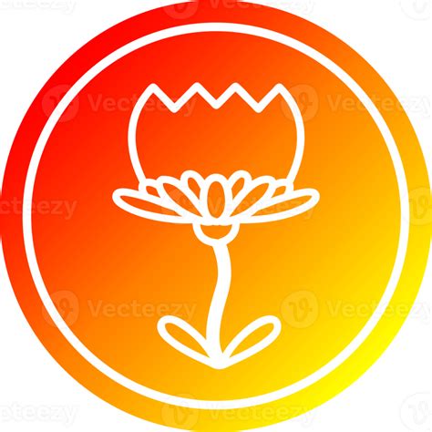 Lotus Flower Circular In Hot Gradient Spectrum 43494785 Png