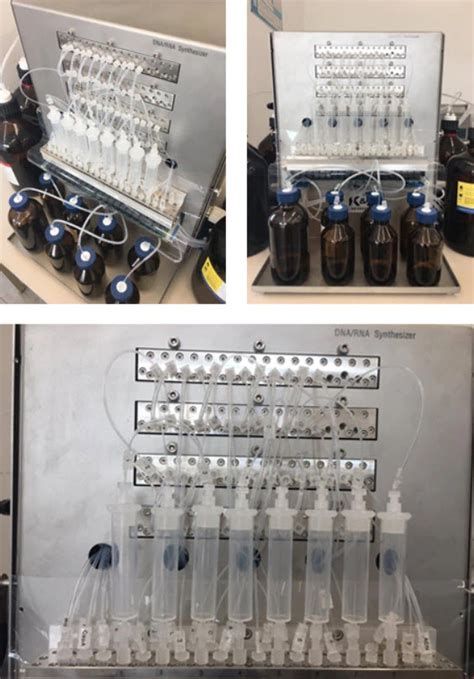 Dna Synthesizer