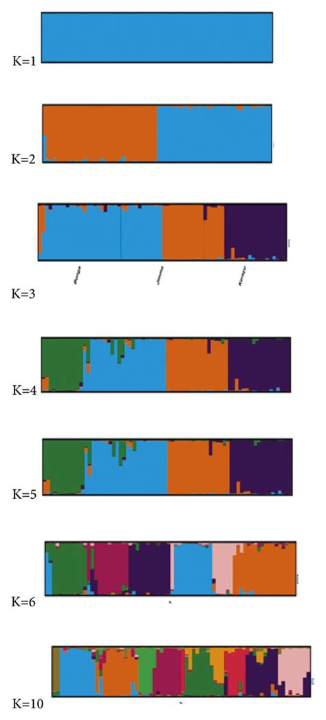 Population Structure Of Three Cattle Breeds Obtained By Structure