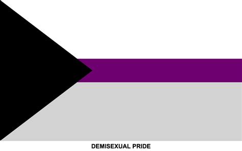 Flag Of Demisexual Pride Demisexual Pride Flag 45960601 Vector Art At