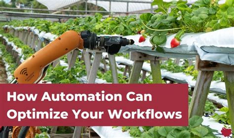 automation workflowoptimization productivityboost d nelle dowis uxc