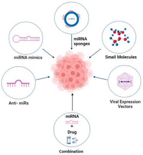 Mirnas In Regulation Of Tumor Microenvironment Chemotherapy Resistance Immunotherapy
