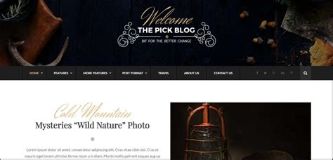 8 Best Bootstrap Wordpress Themes Designorbital