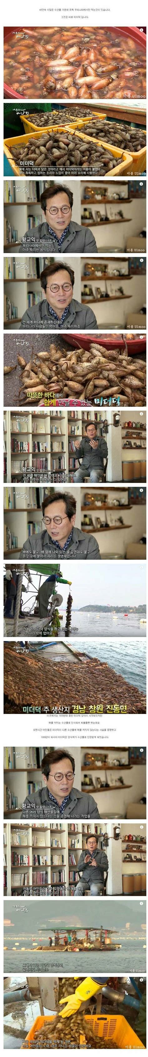 전세계 유일 한국에만 있는 음식 인스티즈instiz 이슈 카테고리