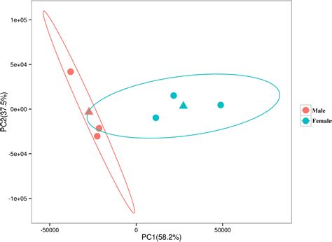 Comparative Transcriptome Sequencing Analysis Of Female And Male